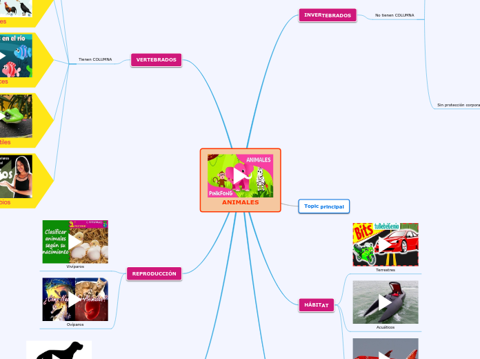 ANIMALES - Mind Map